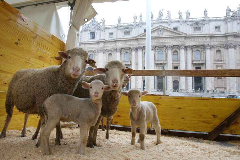 San Antonio Abad: la bendición de los animales vuelve a la Plaza de San ...